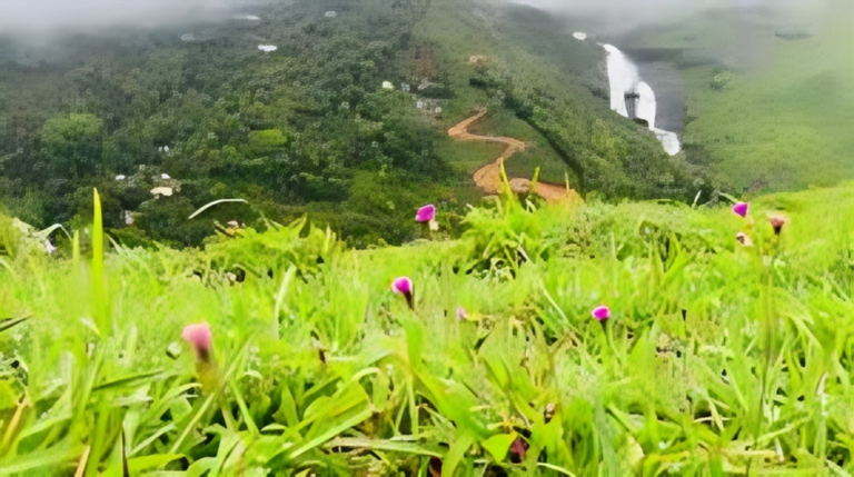 Varattumedu – The Hidden Off-Road Gem of Vagamon - visittokerala.com ...